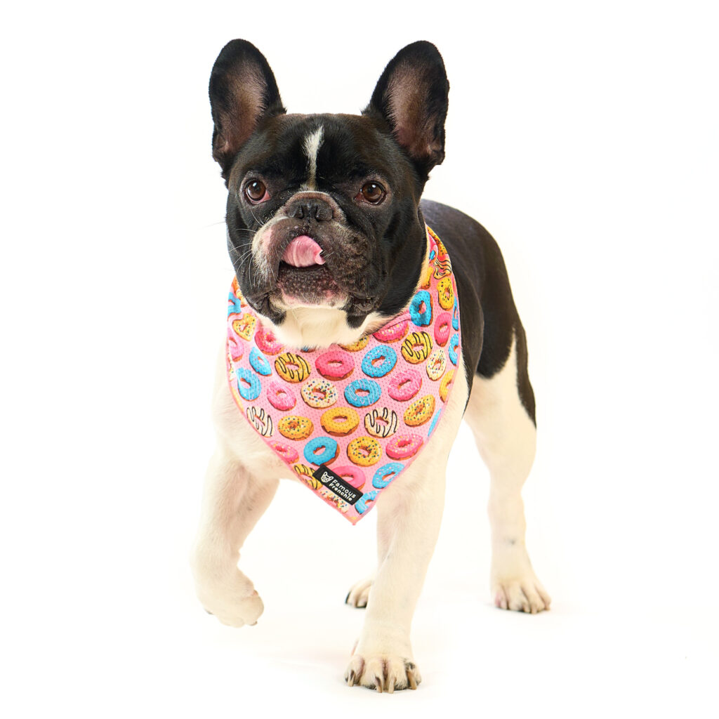 Famous Frenchie – Premium Quality Woofwear