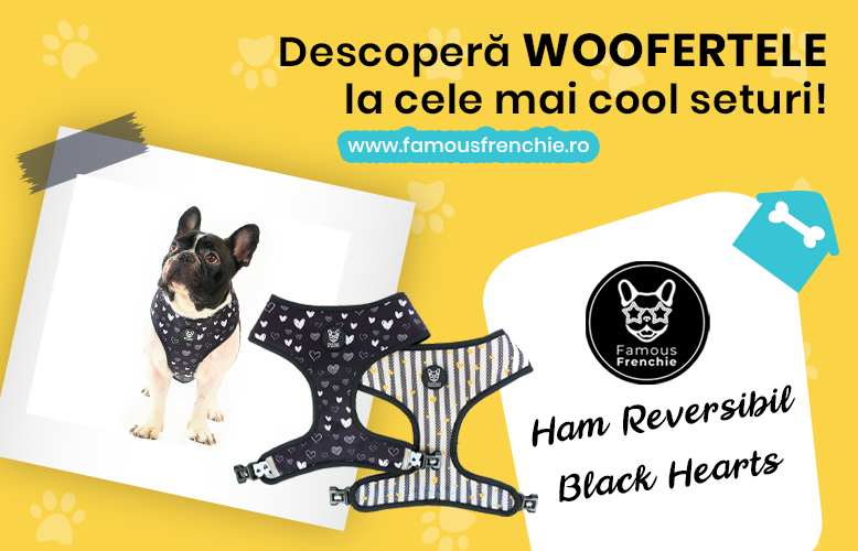 Famous Frenchie – Premium Quality Woofwear